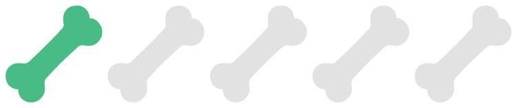 Shichon: Your Complete Guide - Dog Academy