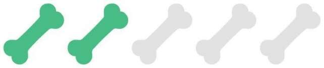 Pomchi: Your Complete Guide - Dog Academy